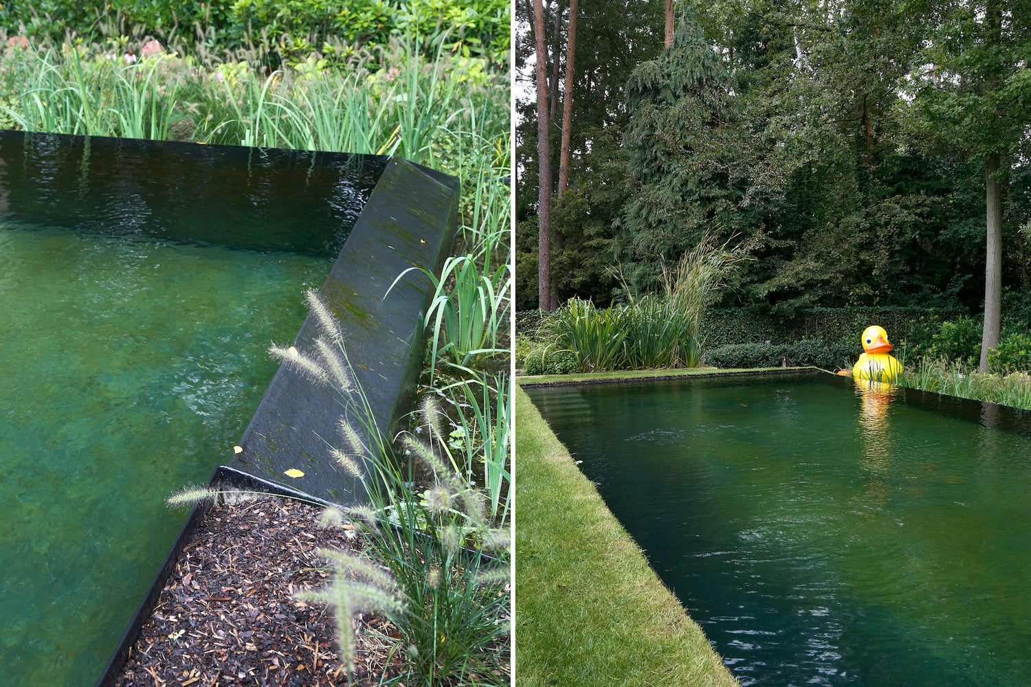 Vijvertips – De Hofleverancier